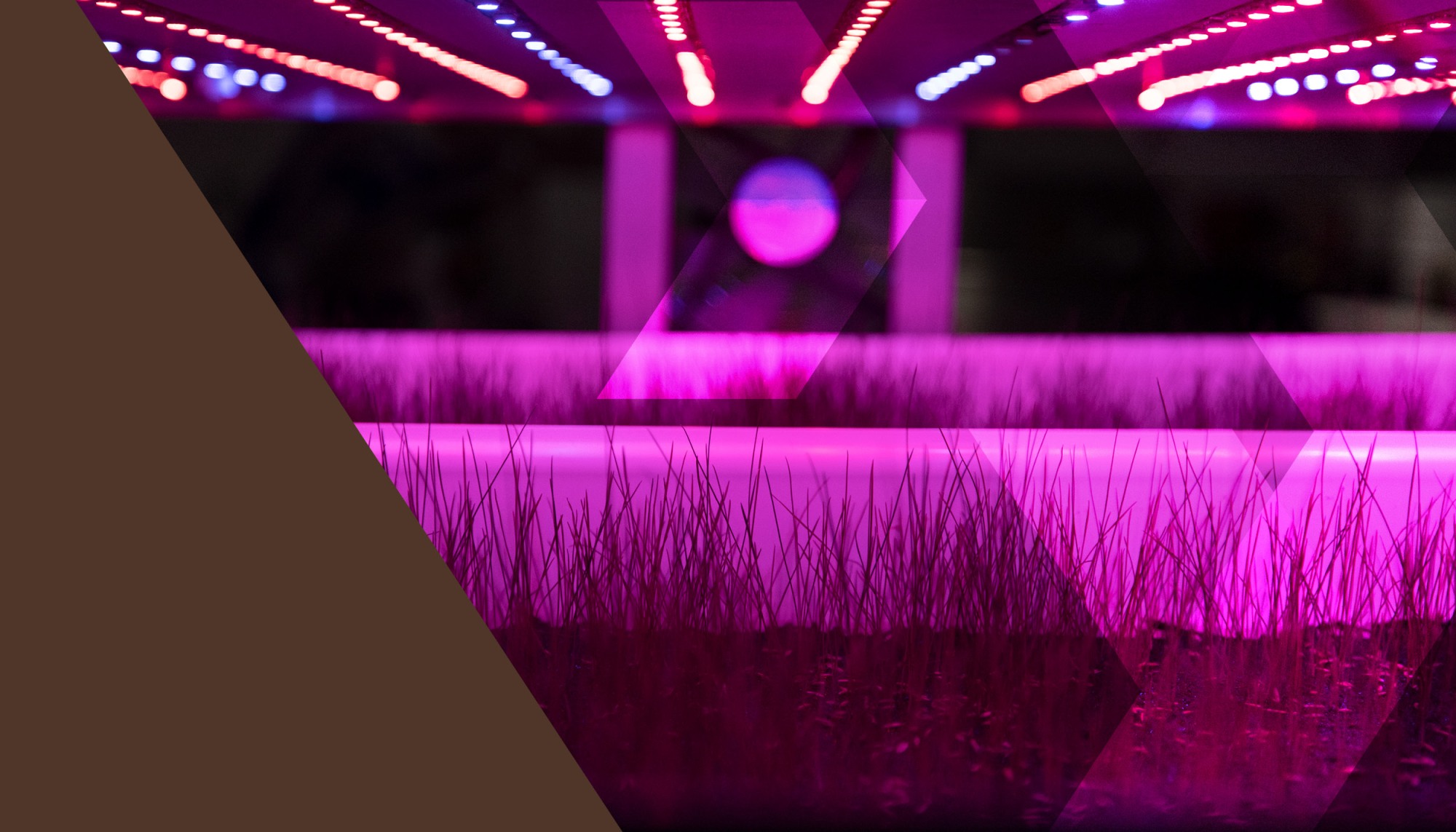 Institute at Brown for Environment and Society | Brown Technology Innovations | Brown University